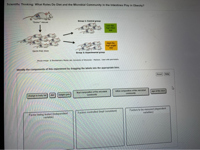 Solved Scientific Thinking: What Roles Do Diet and the | Chegg.com