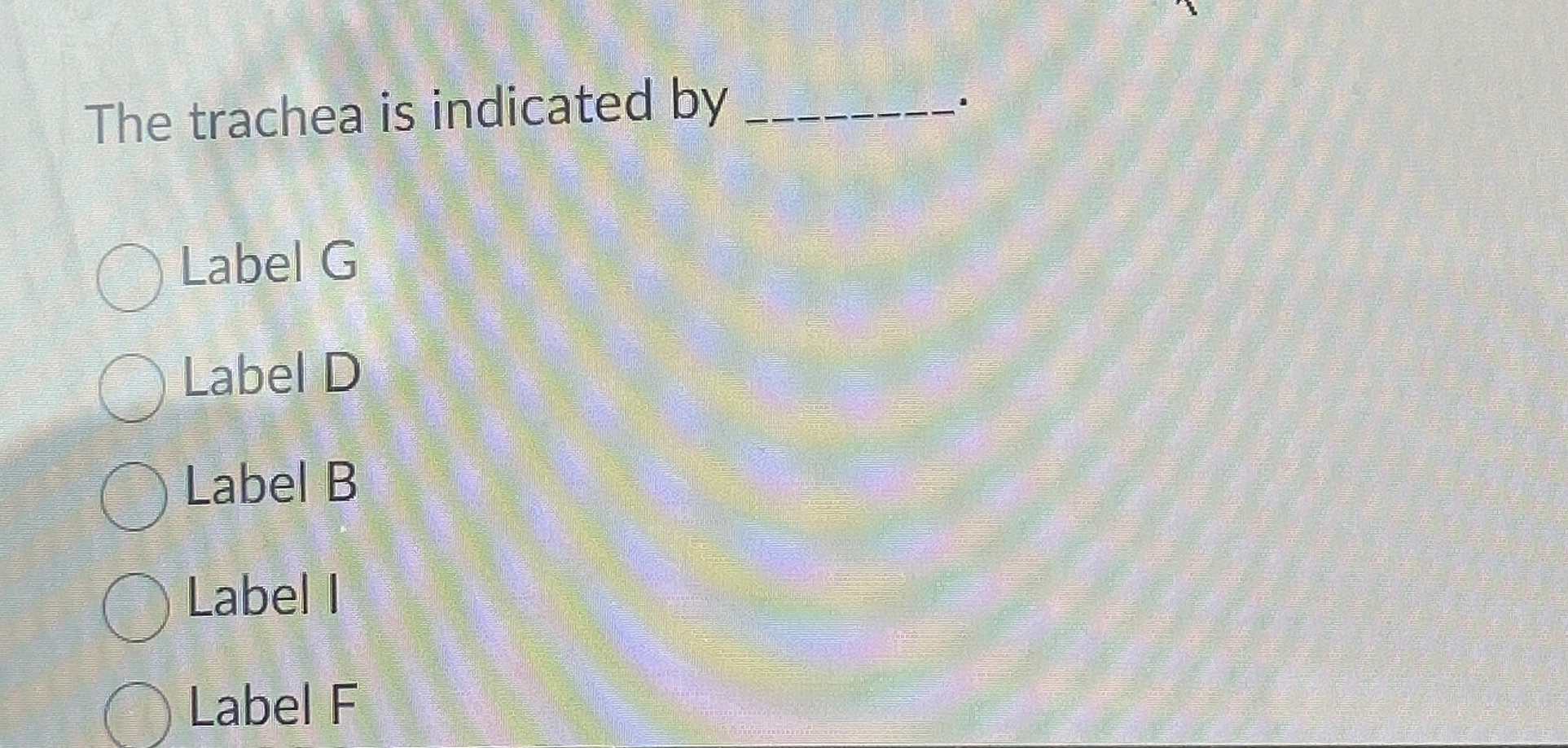 Solved The trachea is indicated by q,Label GLabel DLabel | Chegg.com