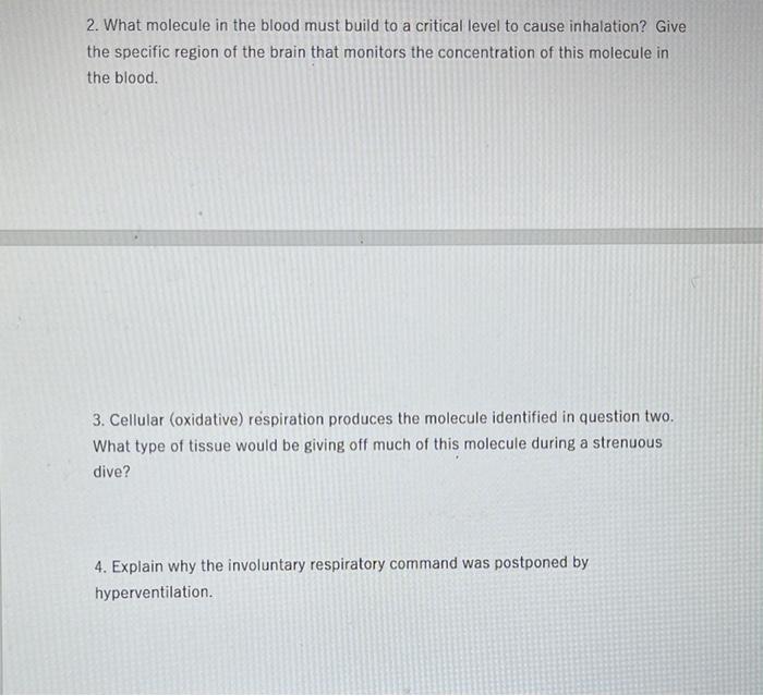 Solved Effects of Hyperventilation and Diving Jinn Li is an | Chegg.com