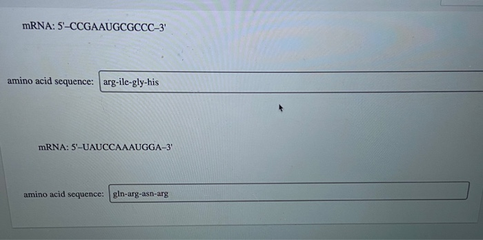 Solved Given mRNA sequences, provide the amino acid | Chegg.com