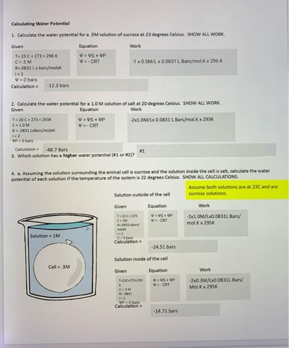 More concentrated Less concentrated a. label the | Chegg.com
