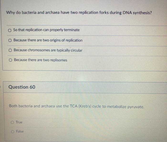 Solved Why do bacteria and archaea have two replication | Chegg.com