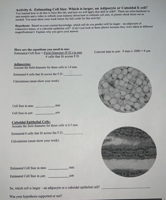 Solved Activity 6: Estimating Cell Size: Which is larger, an | Chegg.com