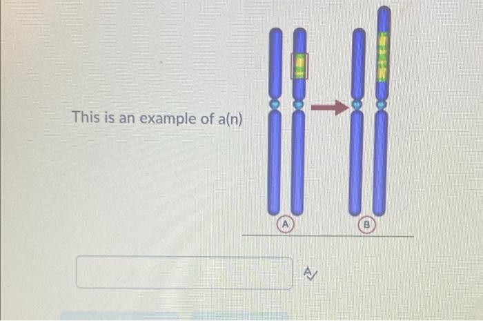 Solved This is an example of a(n) A | Chegg.com