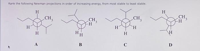 Solved Rank the following Newman projections in order of | Chegg.com