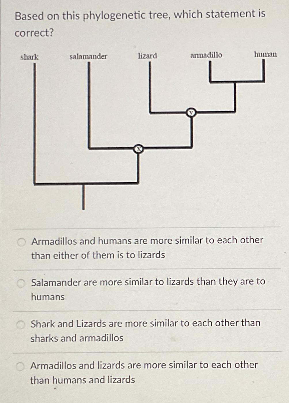 Solved Based on this phylogenetic tree, which statement is | Chegg.com