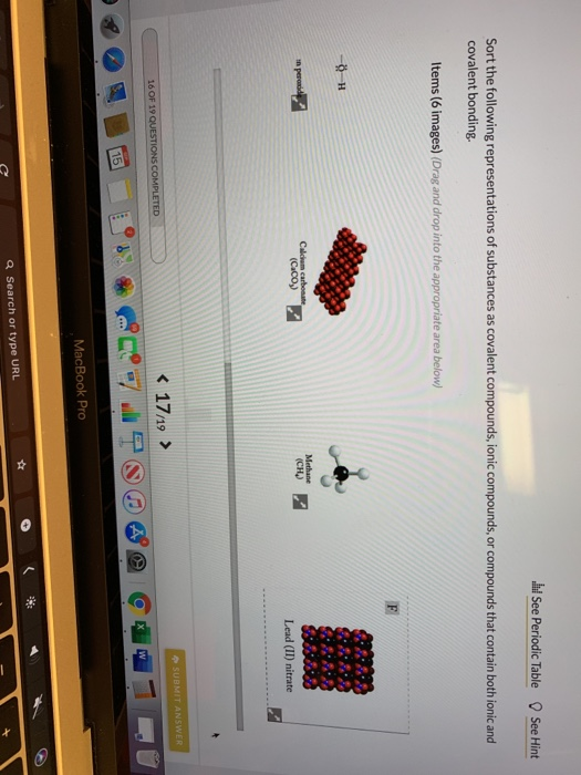 Solved See Periodic Table See Hint Sort the following | Chegg.com