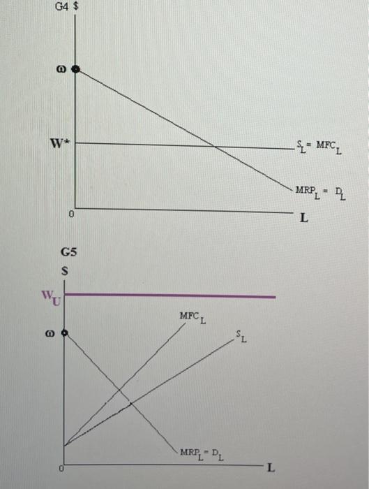 Solved 9. Consider graphs G4 and G5 on the graphs page. | Chegg.com