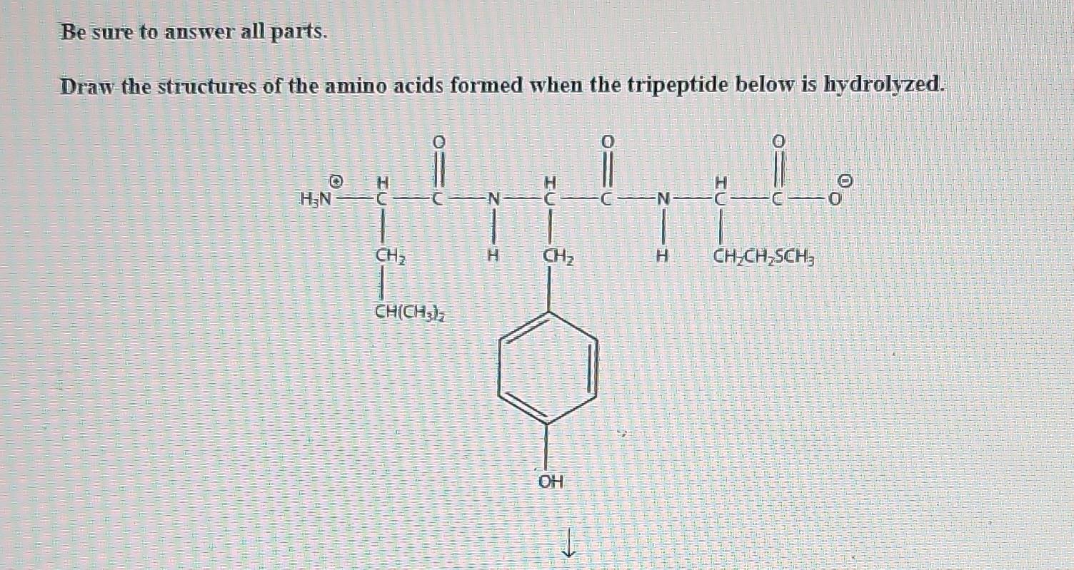 Solved Draw the structures of the amino acids formed when | Chegg.com