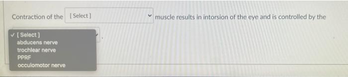 Solved muscle results in intorsion of the eye and is | Chegg.com