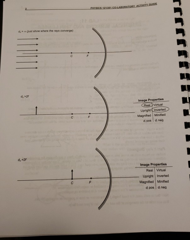 Solved PHYSICS 121/201. COLLABORATORY ACTIVITY GUIDE do just | Chegg.com