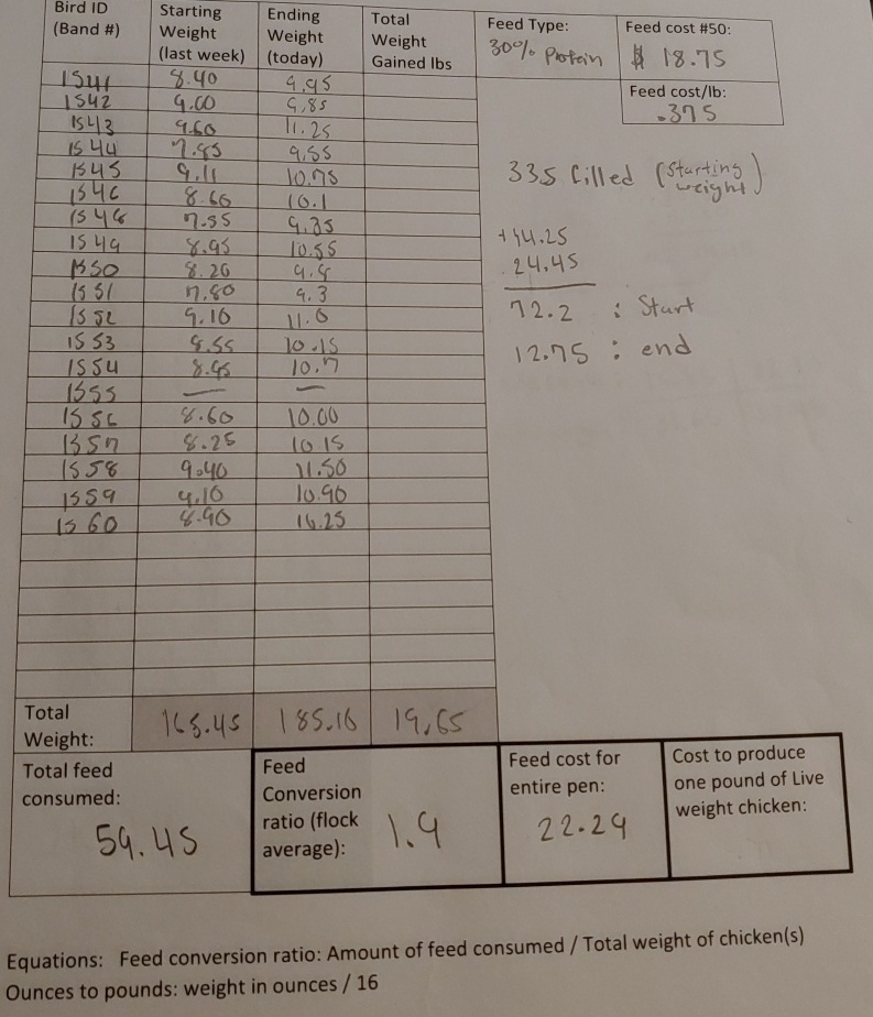Solved Equations: Feed conversion ratio: Amount of feed | Chegg.com