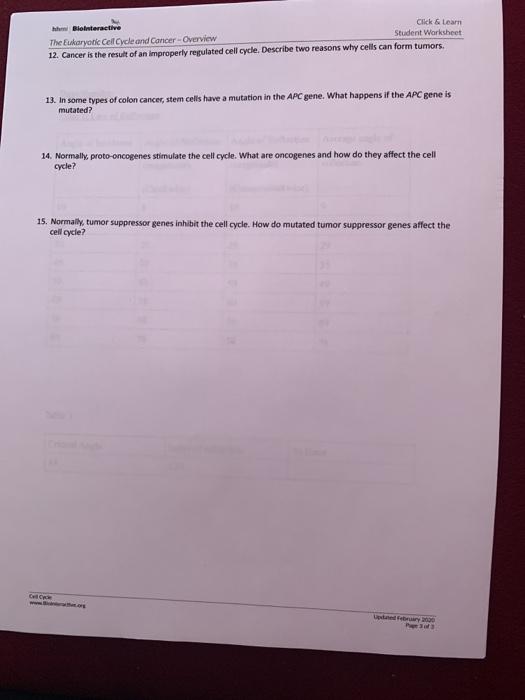 Solved Biointeractive The Eukaryotic Cell Cycle and Cancer | Chegg.com