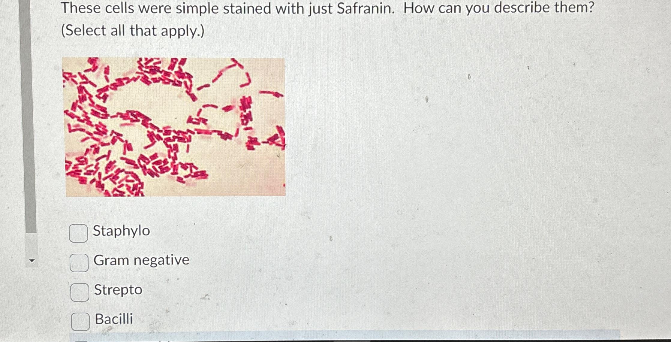 Solved These cells were simple stained with just Safranin. | Chegg.com