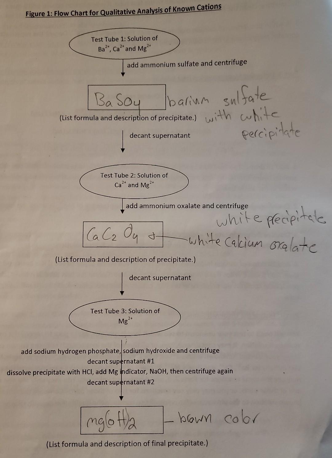 Figure 1: Flow Chart for Qualitative Analysis of | Chegg.com