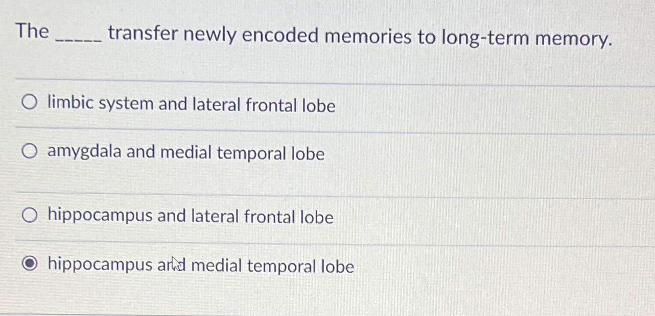 Solved The _____ ﻿transfer newly encoded memories to | Chegg.com
