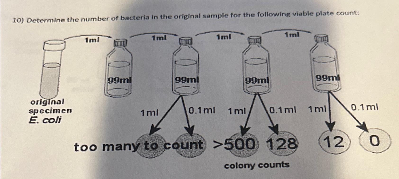 Solved Determine the number of bacteria in the original | Chegg.com