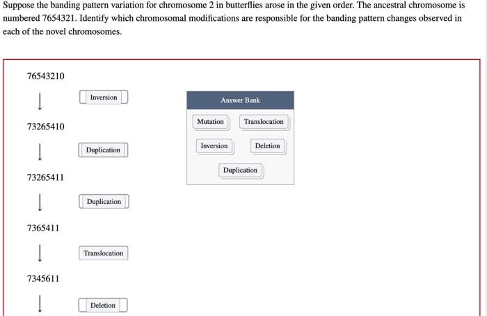 Solved Suppose the banding pattern variation for chromosome | Chegg.com