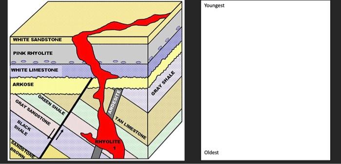 Using the diagram, place the events in order. Be sure | Chegg.com