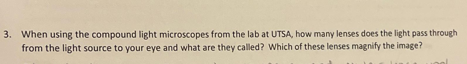 Solved When using the compound light microscopes from the | Chegg.com