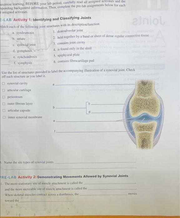 Solved aximize learning. BEFORE your lab period, carefully | Chegg.com