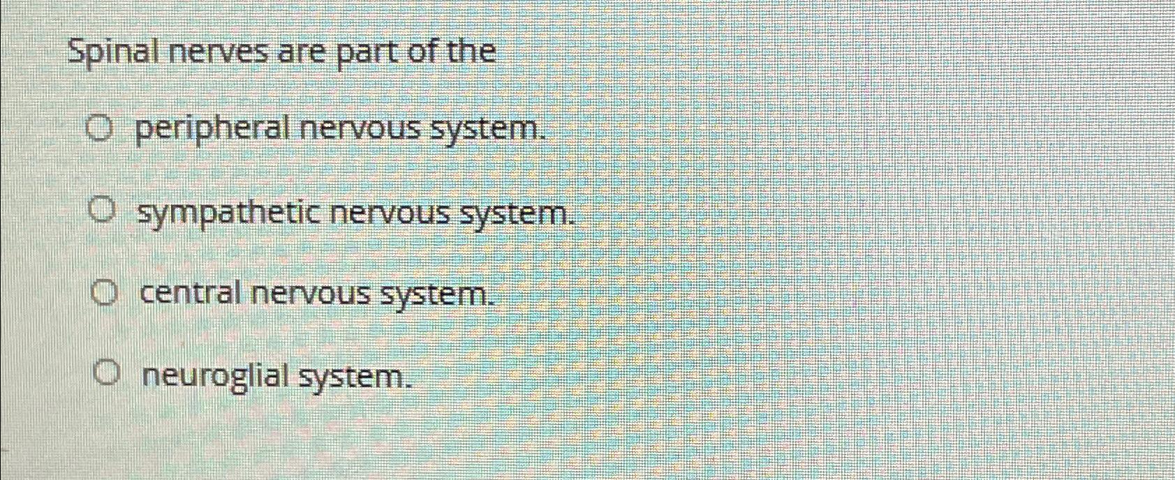 Solved Spinal nerves are part of theperipheral nervous | Chegg.com