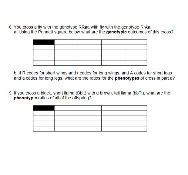 Solved Solve the following with Punnett squares, etc ﻿(see | Chegg.com