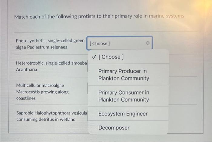 Solved Match each of the following protists to their primary | Chegg.com