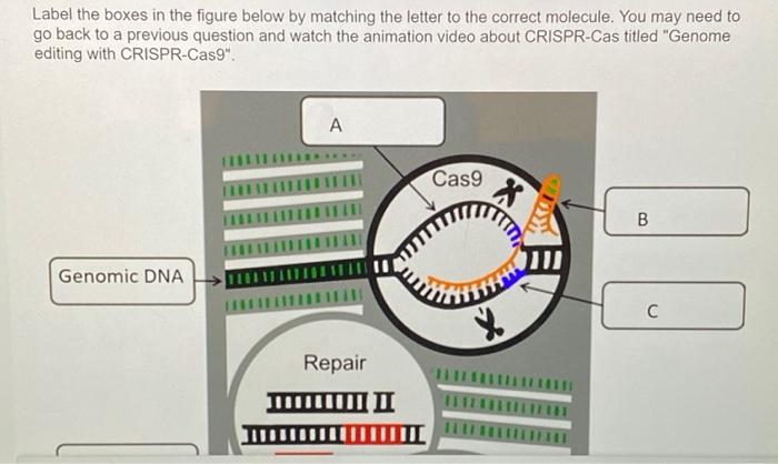 Solved Label the boxes in the figure below by matching the | Chegg.com
