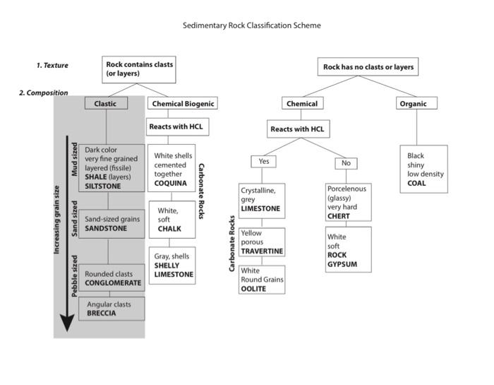 Solved Sedimentary Rock Classification Scheme 1. Texture | Chegg.com