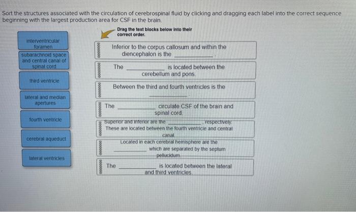 Solved Sort the structures associated with the circulation | Chegg.com