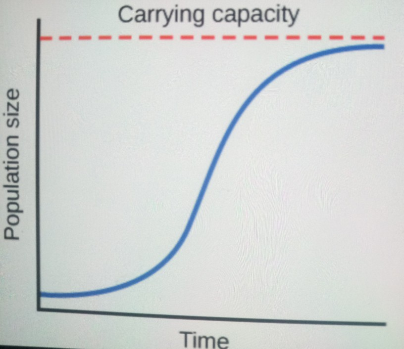 Solved Carrying capacity Population size Time | Chegg.com