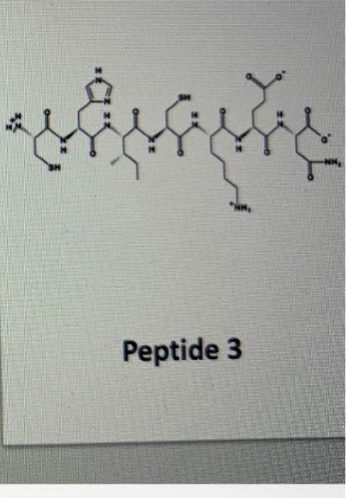 Solved Instructions: Type the one-letter code for each of | Chegg.com