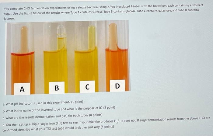 Solved You complete CHO fermentation experiments using a | Chegg.com