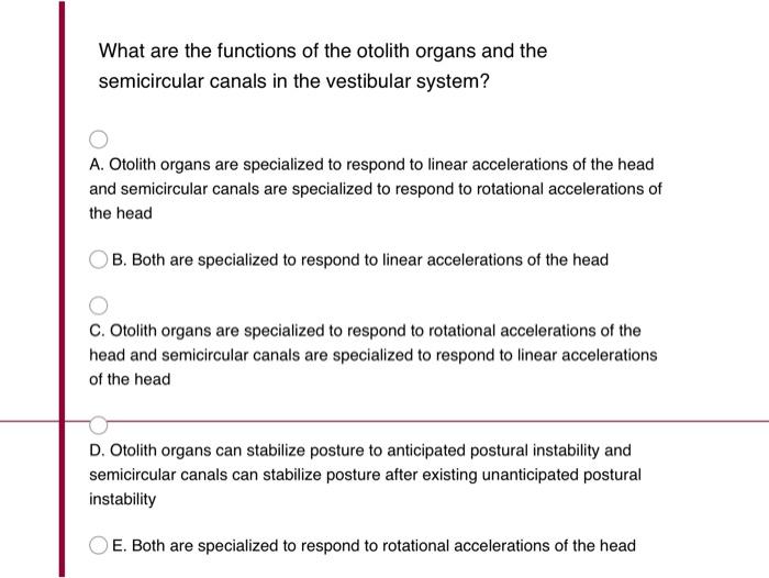 Solved What are the functions of the otolith organs and the | Chegg.com