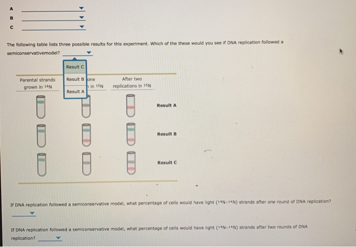 Solved 1. A variation on the Meselson and Stahl experiment | Chegg.com