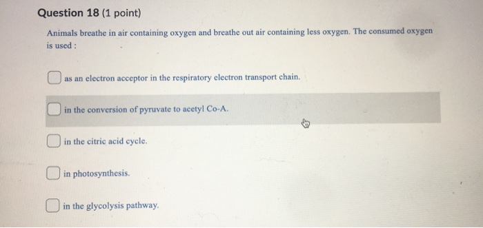 Solved Question 20 (1 point) Fermentation produces ATP True | Chegg.com Solved Question 20 (1 point) Fermentation produces ATP True | Chegg.com