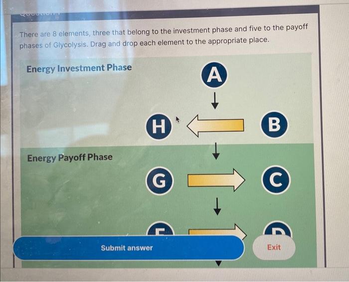 Solved There are 8 elements, three that belong to the | Chegg.com