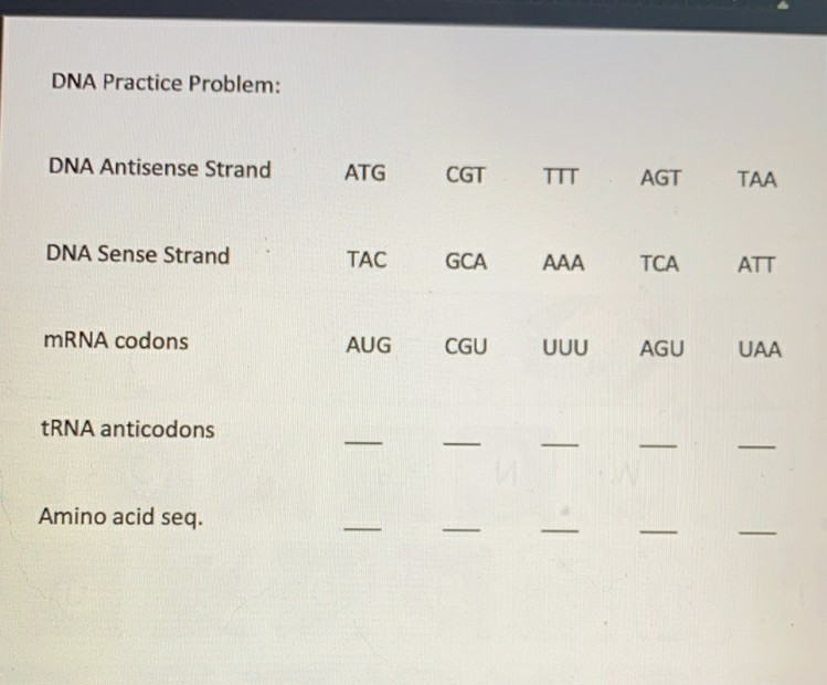 Solved DNA Practice Problem: DNA Antisense Strand ATG CGT | Chegg.com