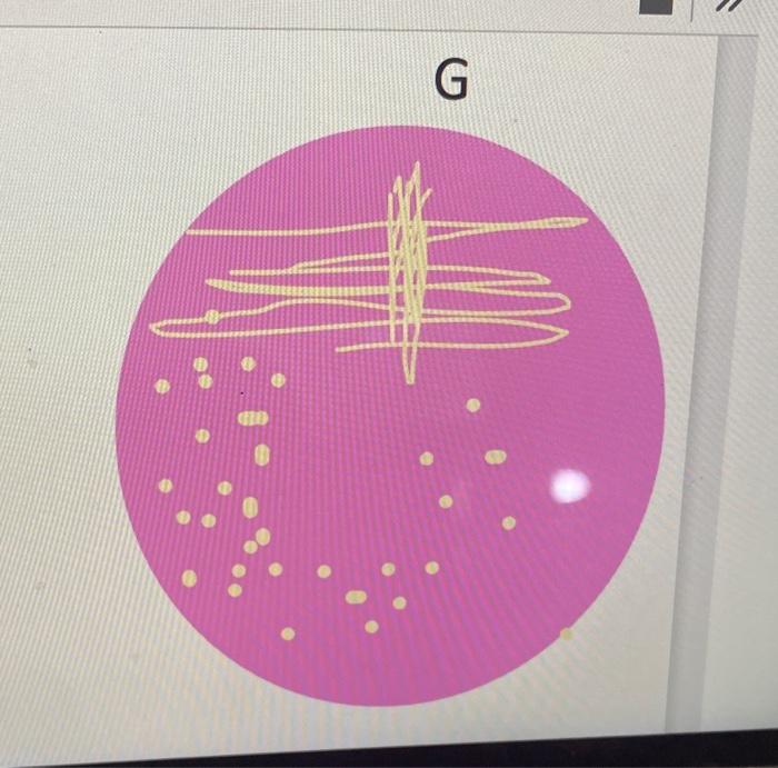 Please help with filling this out !!!red plate-CNA | Chegg.com