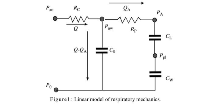 Solved Figure 1: Linear model of respiratory | Chegg.com