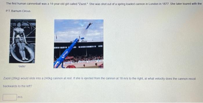 Solved The first human cannonball was a 14-year-old girl | Chegg.com