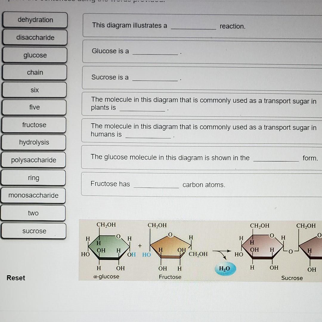 Solved dehydration This diagram illustrates a reaction. | Chegg.com