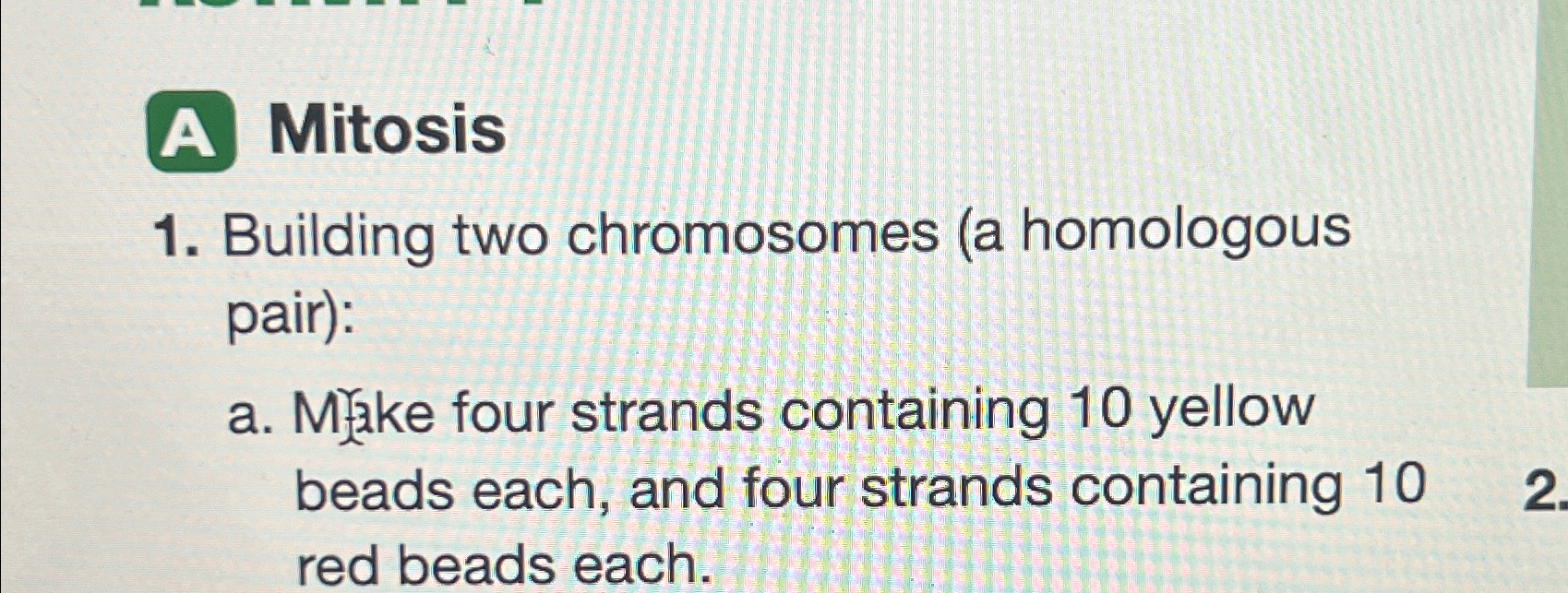Solved MitosisBuilding two chromosomes (a homologous | Chegg.com