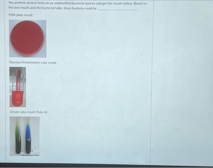 You perform several tests on an unidentified | Chegg.com