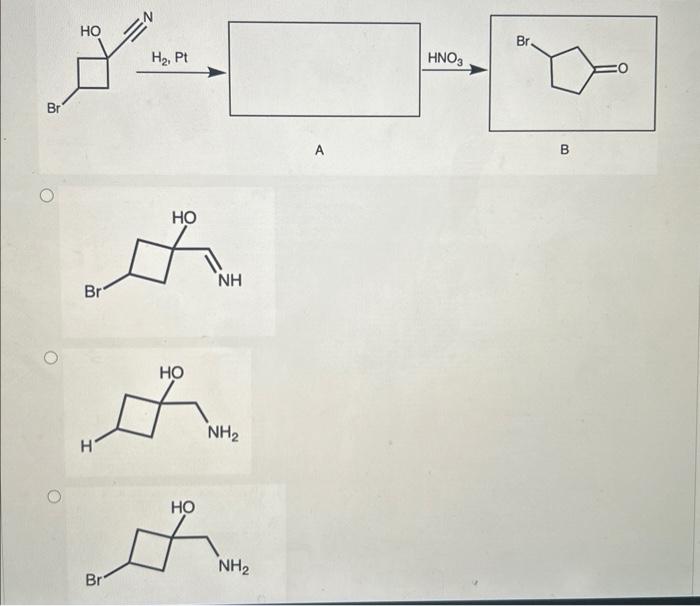 Solved Which of the following reactions is incorrect?+NH2 | Chegg.com