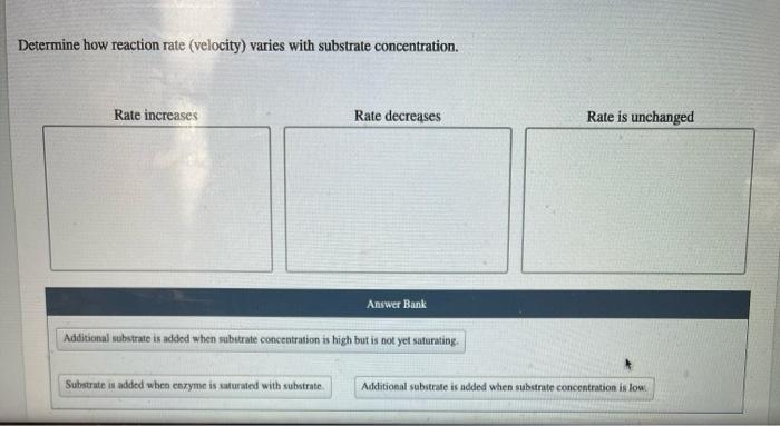 Solved Determine How Reaction Rate Velocity Varies With