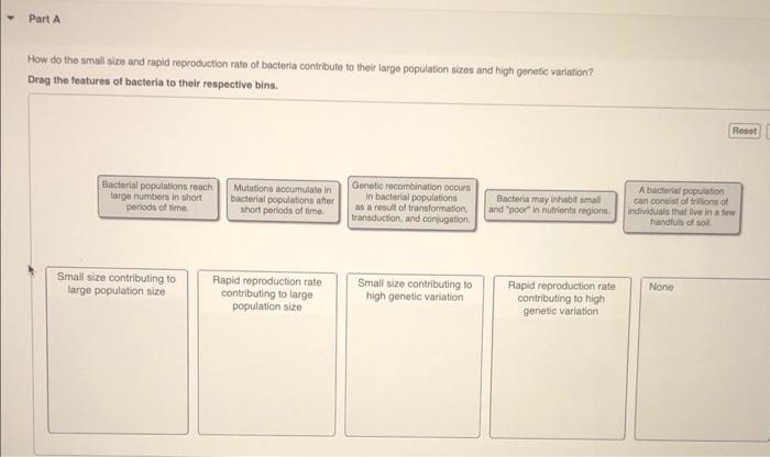 Part A How do the small size and rapid reproduction | Chegg.com