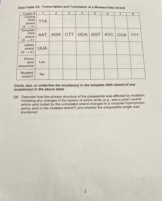 Solved Data Table C2: Transcription and Translation of a | Chegg.com