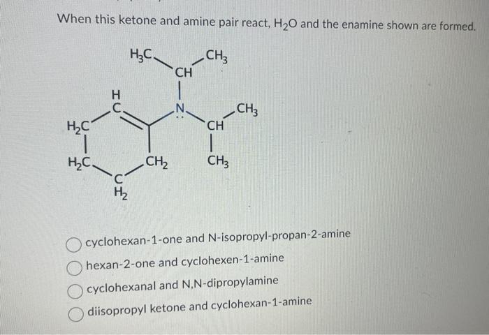 Solved When this ketone and amine pair react, H2O and the | Chegg.com